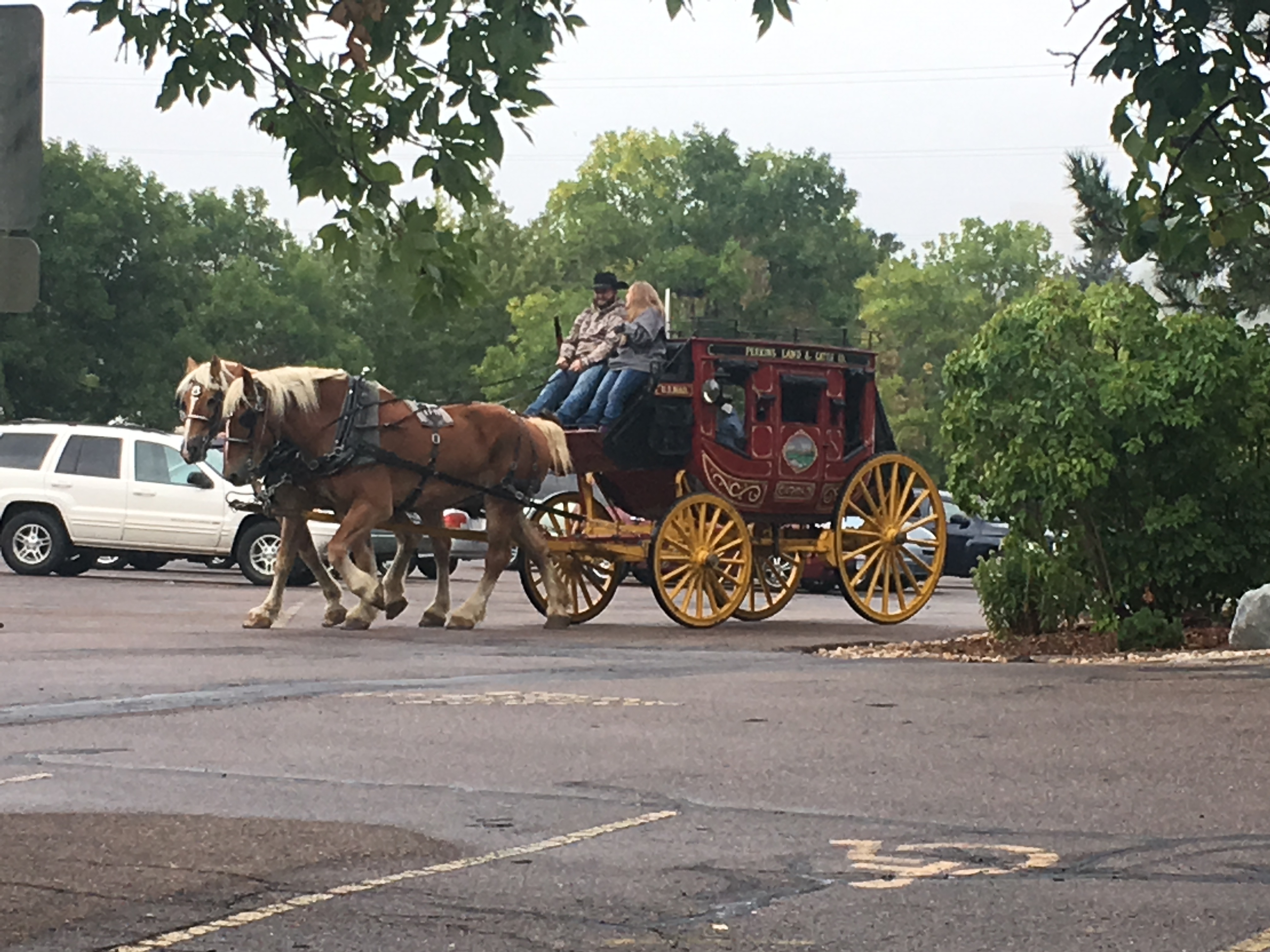 Carriages of Colorado